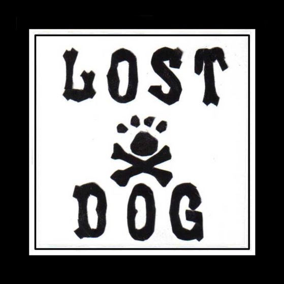Lost Dog Street Band